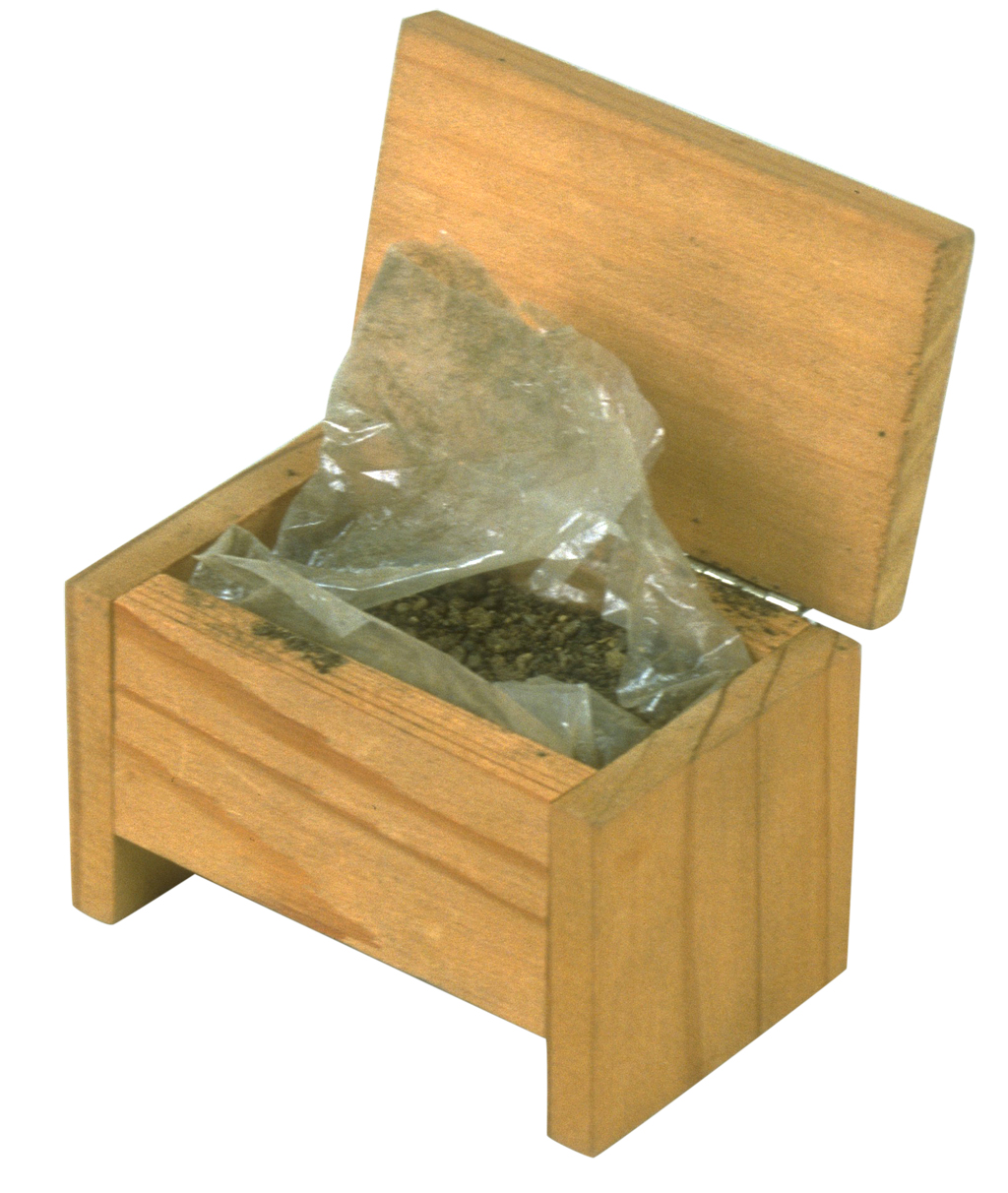 Drvo-Tree | Women Beyond Borders