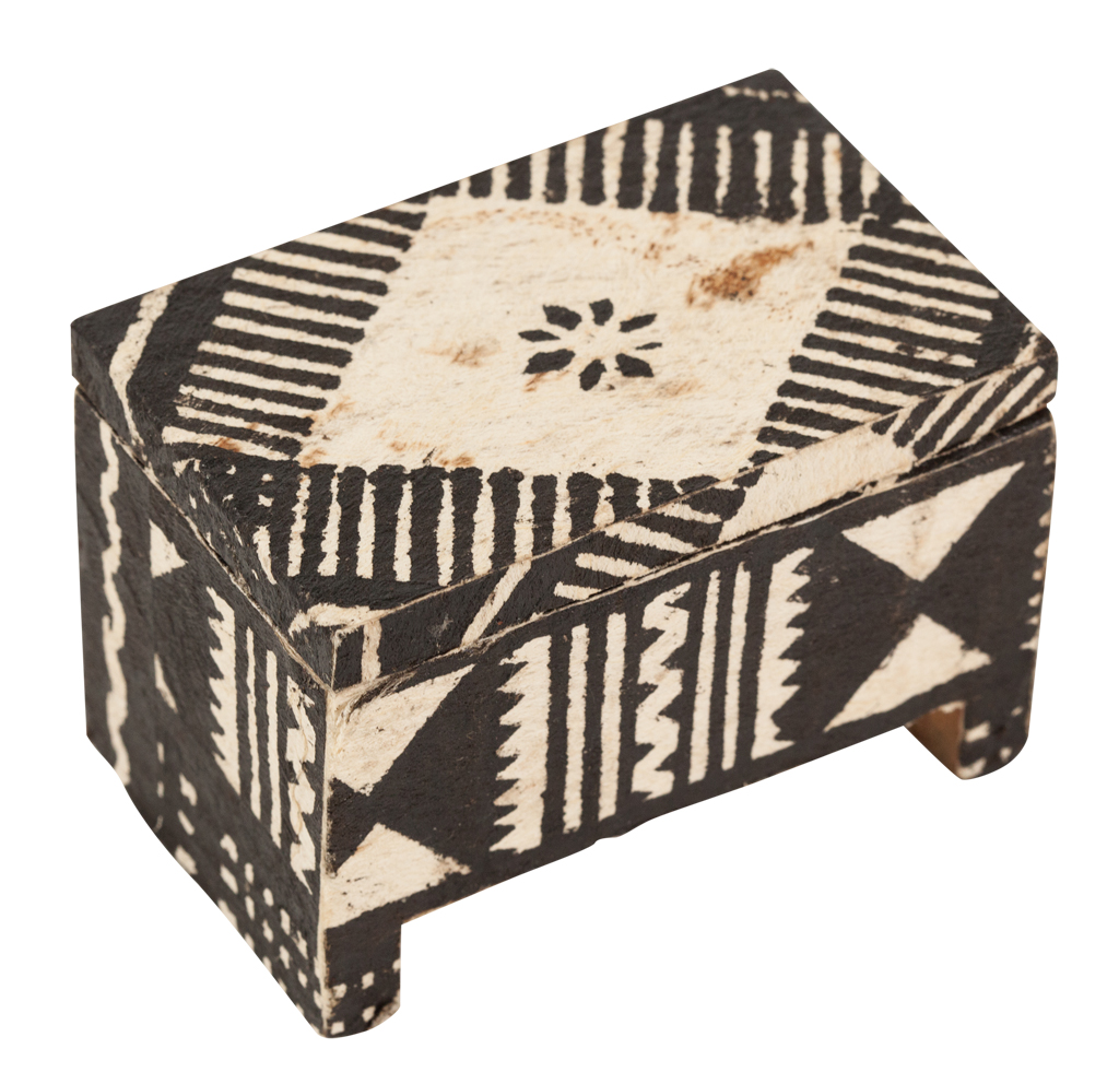 Pusa | Women Beyond Borders