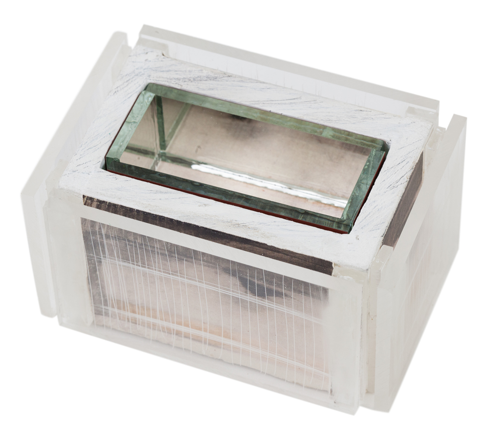 A Cage Too Small (Ideally Make a Much Larger One) | Women Beyond Borders